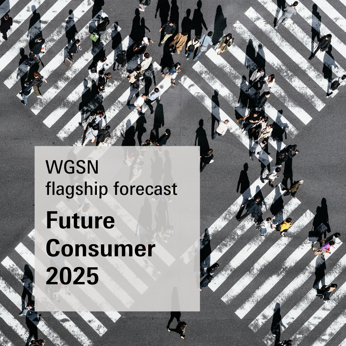 Future Consumer 2025 Wgsn Forecast